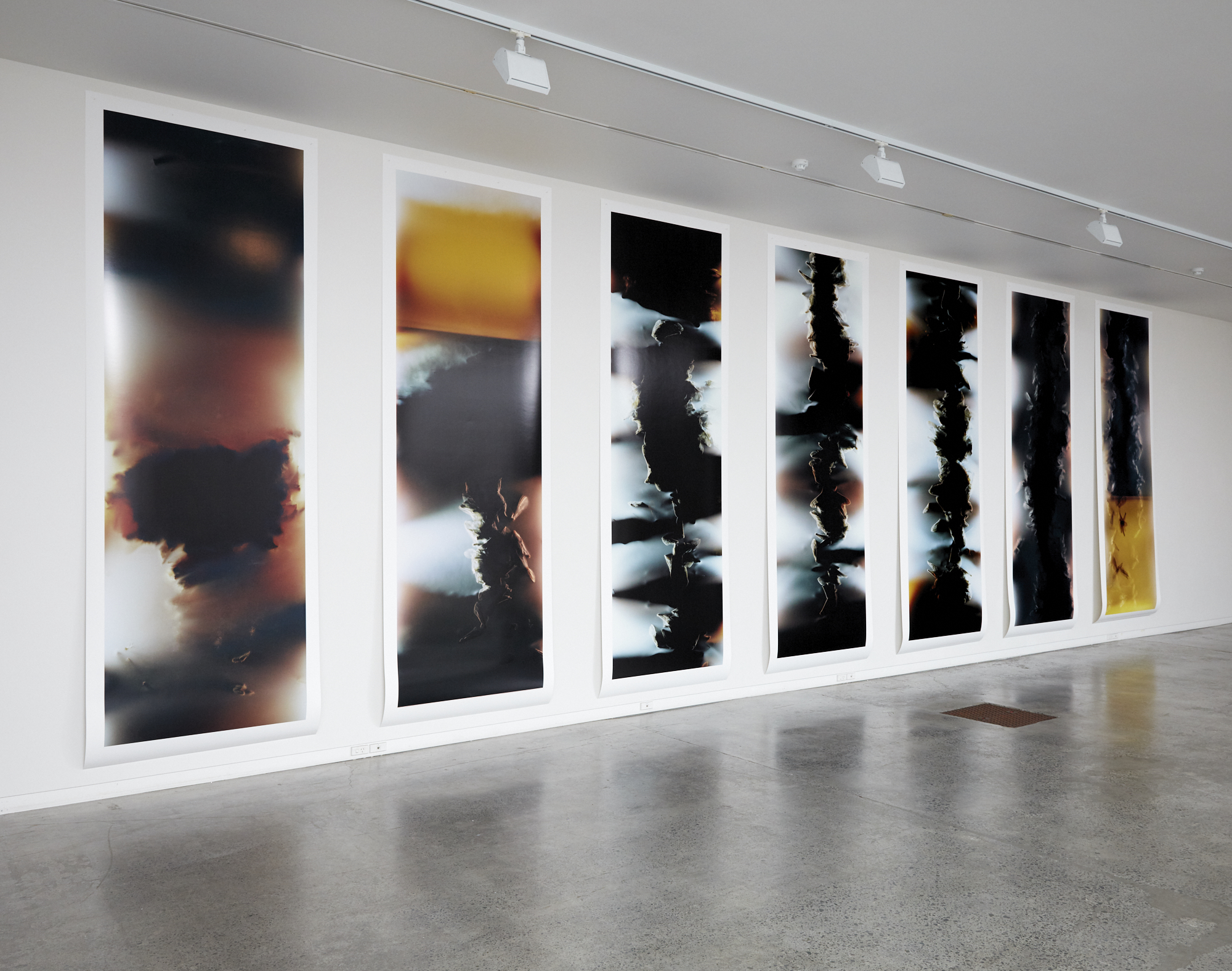 Anne Noble - Two Rooms