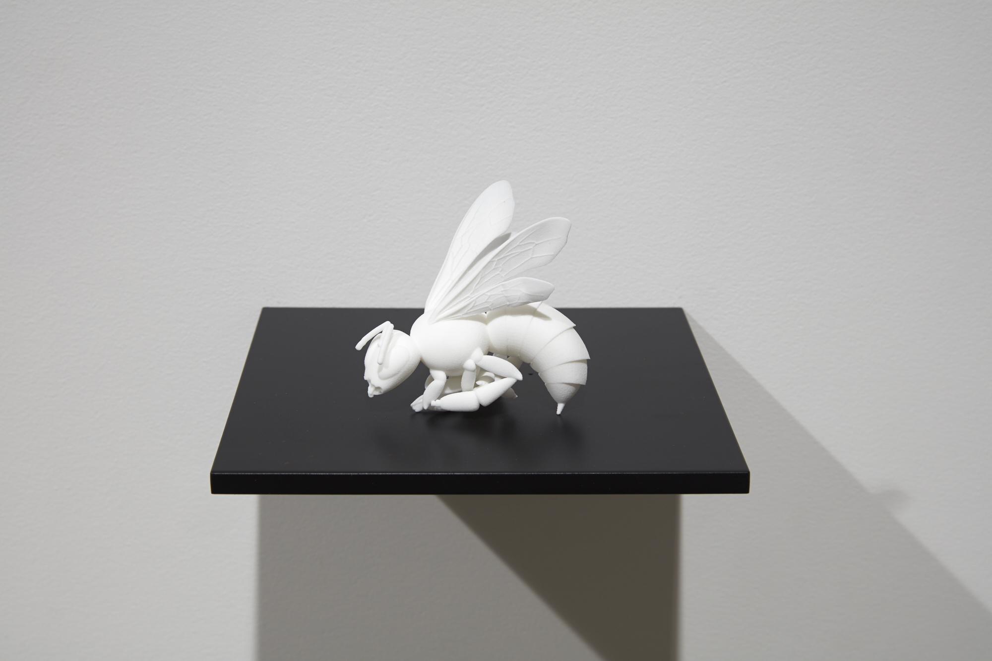 Anne Noble - Two Rooms