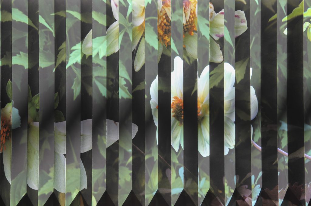 Megan Jenkinson - Two Rooms