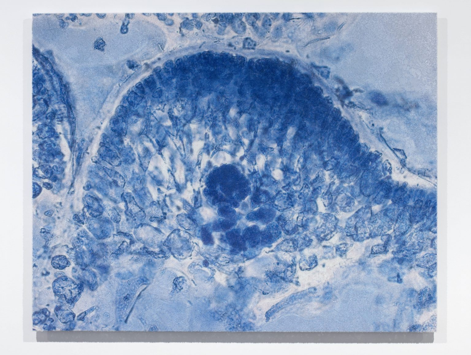 Elizabeth Thomson - Two Rooms