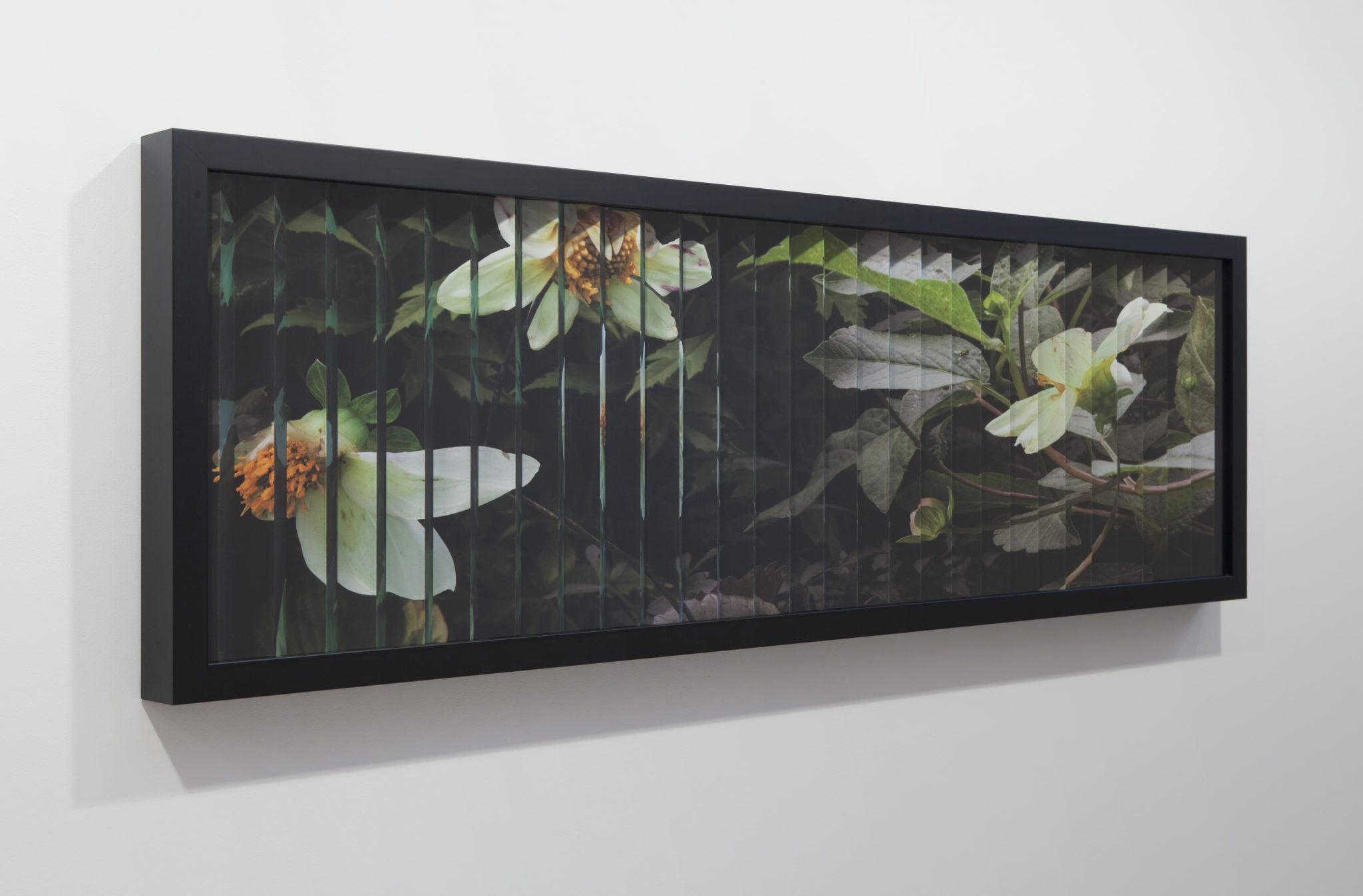 Megan Jenkinson - Two Rooms