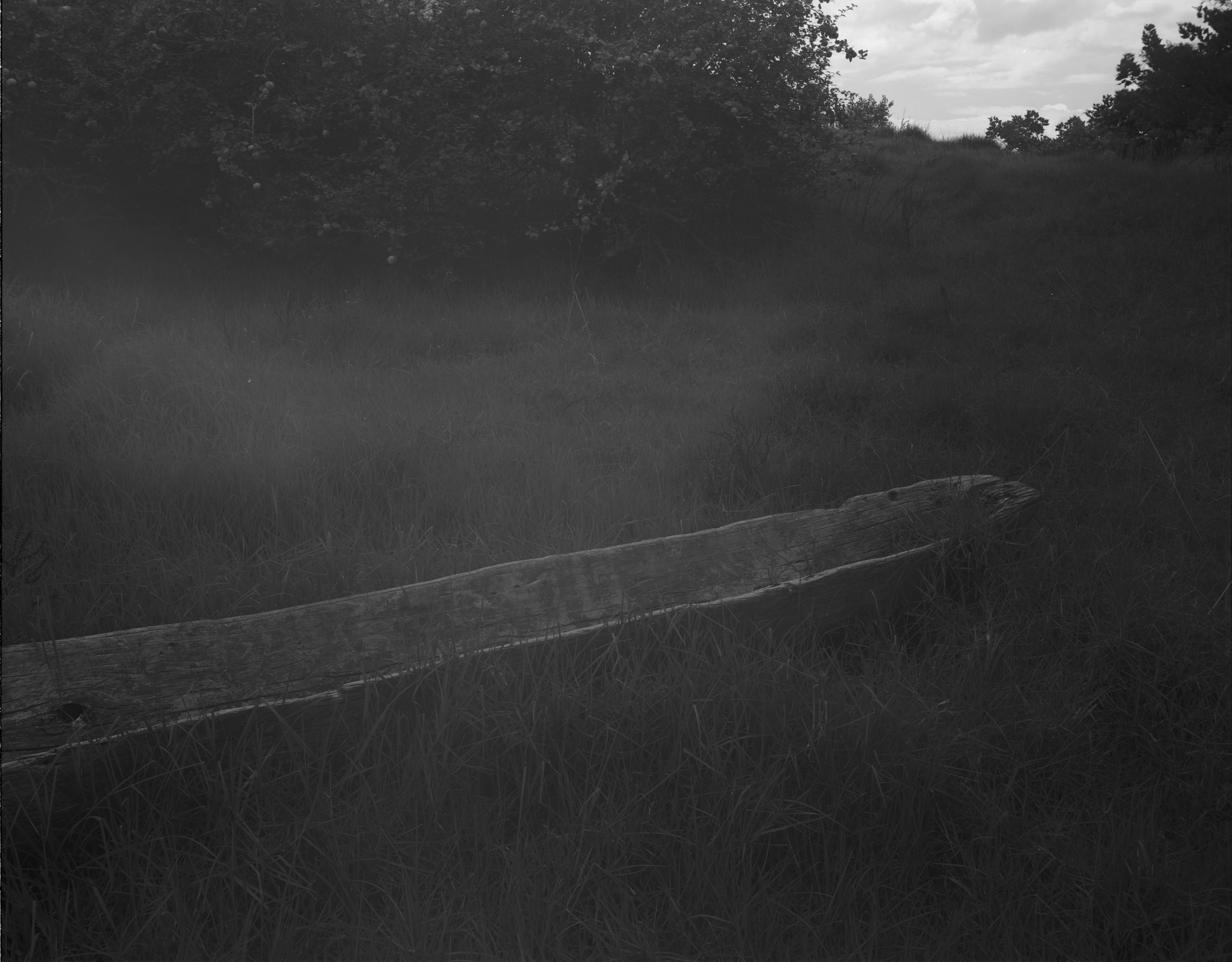 Mark Adams - Two Rooms