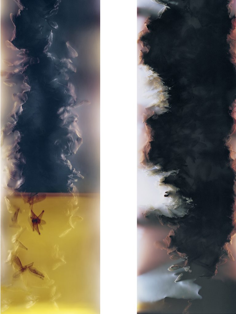 Anne Noble - Two Rooms