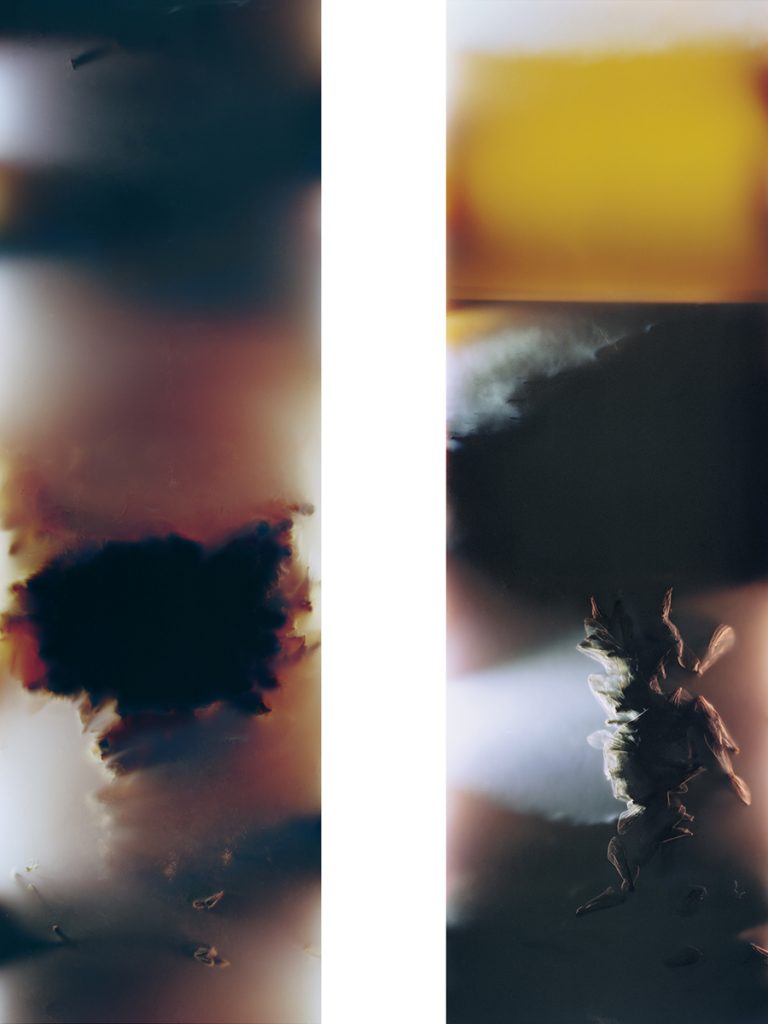 Anne Noble - Two Rooms