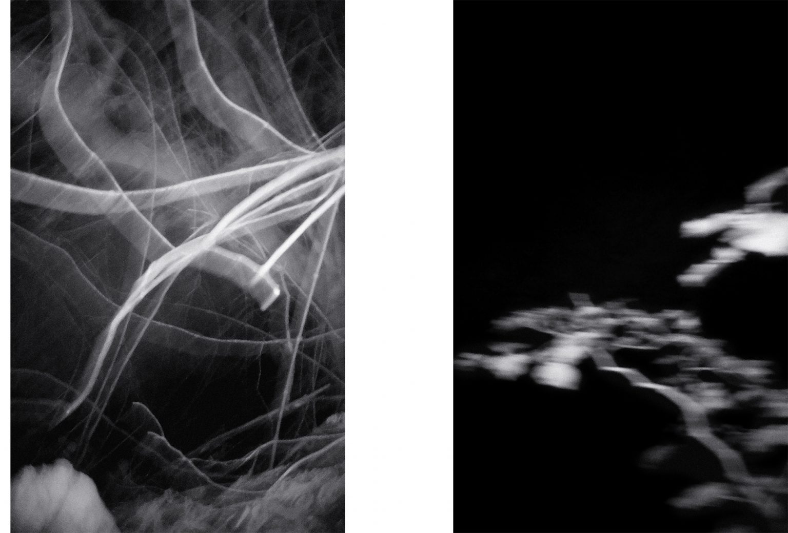 Anne Noble - Two Rooms