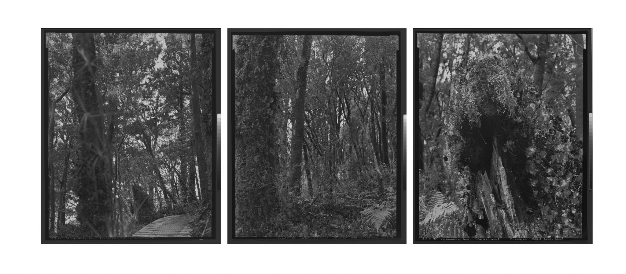 Mark Adams - Two Rooms