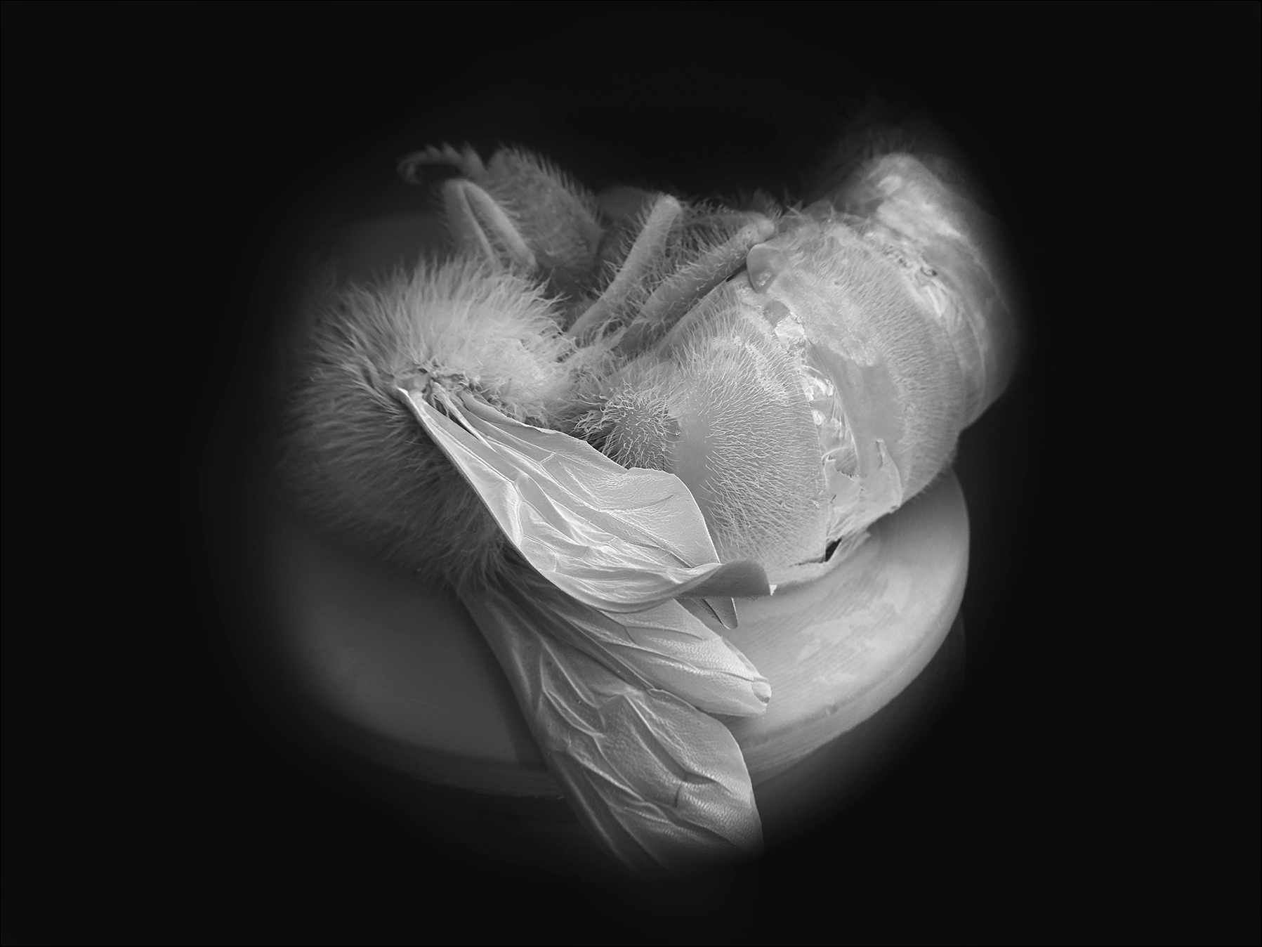 Anne Noble - Two Rooms