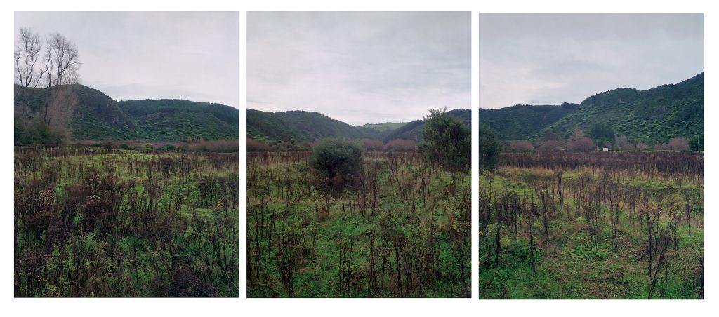 Hinemihi - Te Hokinga - The Return - Two Rooms