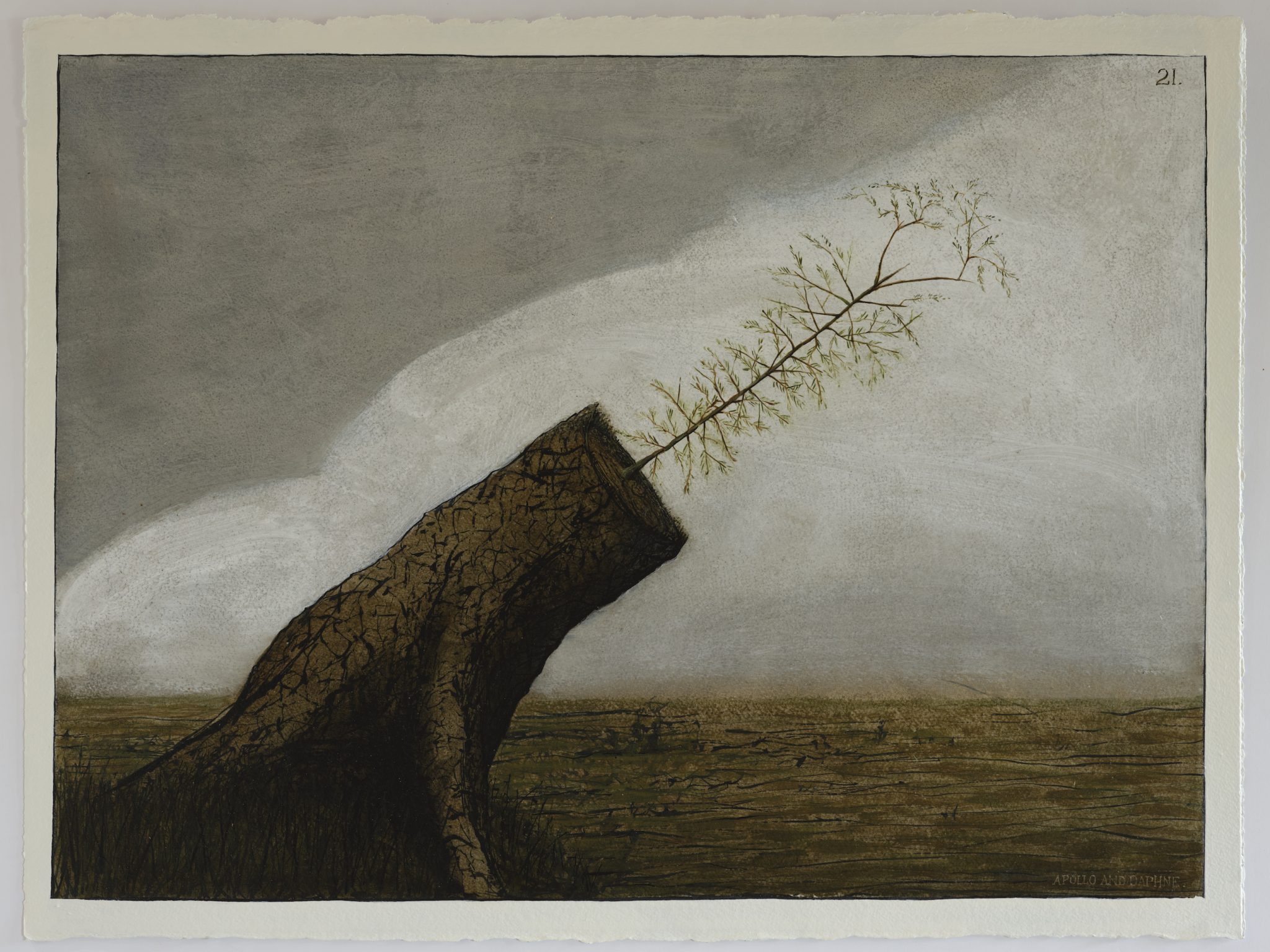 Michael Shepherd - Two Rooms